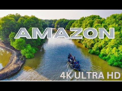 🌿 Secret Wonders of Amazon |Amazon Hidden Treasures |Amazon 4K Ultra HD ...