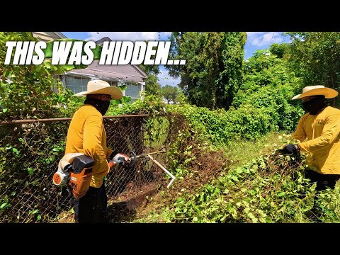 This Yard Stood Out for All the Wrong Reasons…