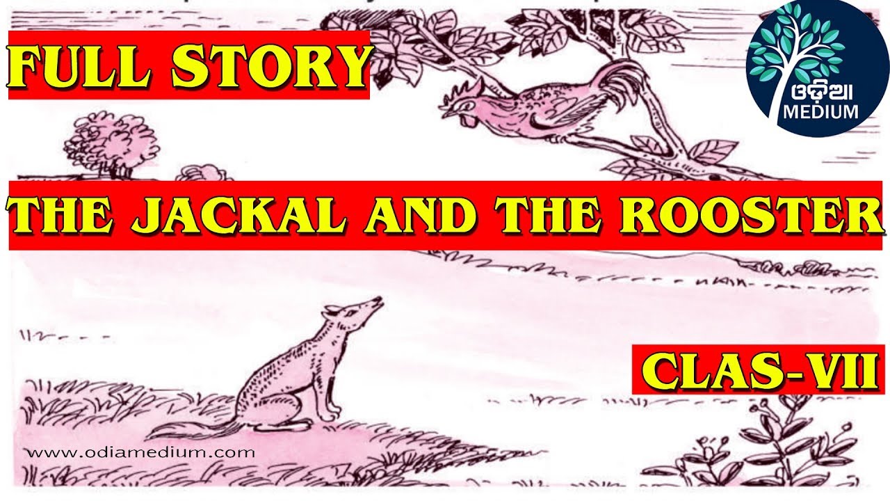 The jackal and rooster | Full Story | English book | class 7th - YouTube