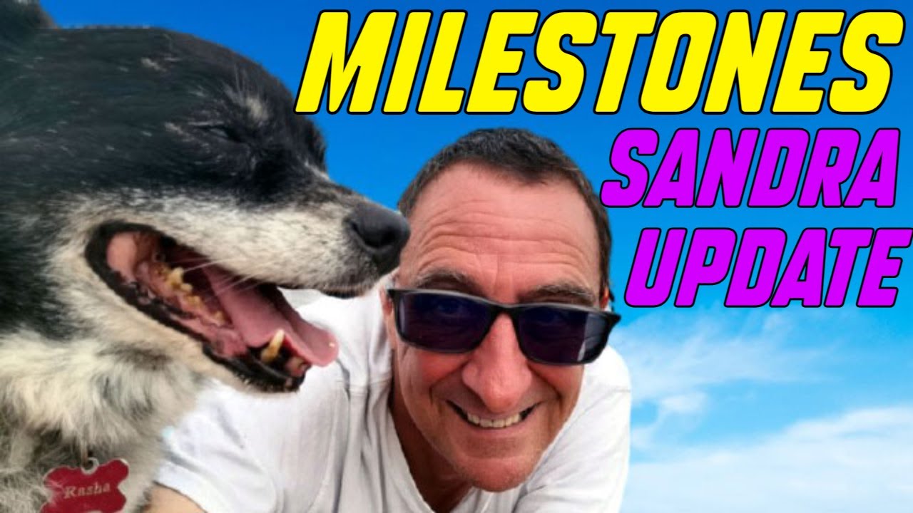 Milestones | Wolla Bank Beach | Sandra Update - YouTube