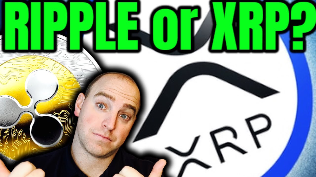 do-xrp-holders-own-ripple-or-xrp-youtube