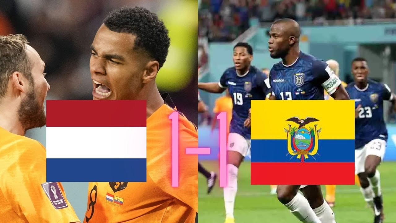 NETHERLANDS AND ECUADOR DRAW! WORLD CUP REVIEW: NETHERLANDS 1-1 ECUADOR ...