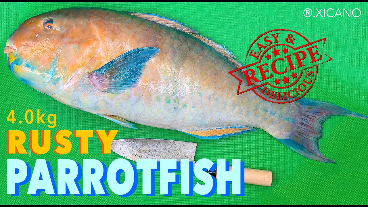 Parrotfish recipe || How to clean, fillet and cook - YouTube