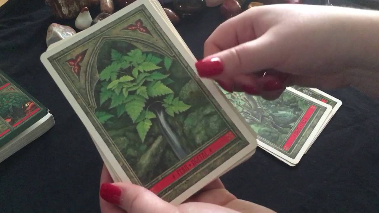 🔮 The Green Man Tree Oracle 🌲🔮 - YouTube