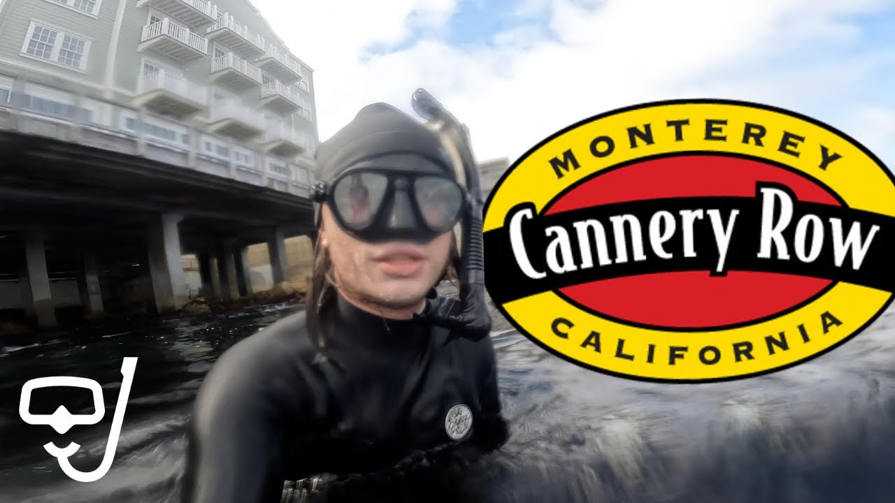 Snorkeling Cannery Row In Monterey California | Diving Beneath The Pier ...