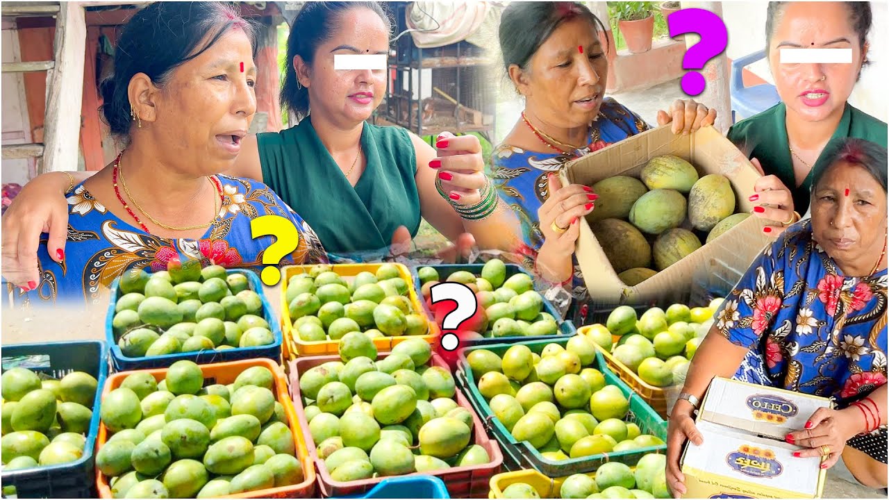 यति धेरै आप कहा पठाउदै 😱Mango 🥭 Lovers 😋😋 TYPES OF MANGO EATERS 😂 Story ...