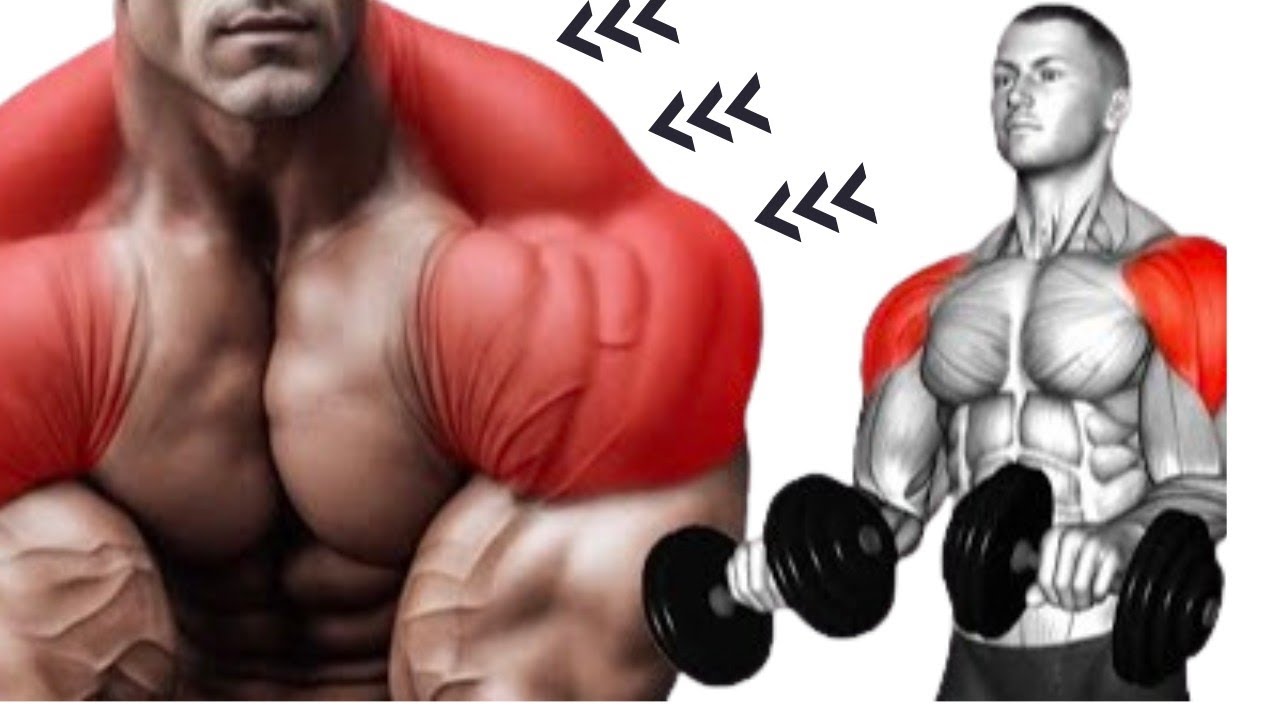 Muscular Shoulder Routine | Effective Workouts for Shoulder #fitness # ...