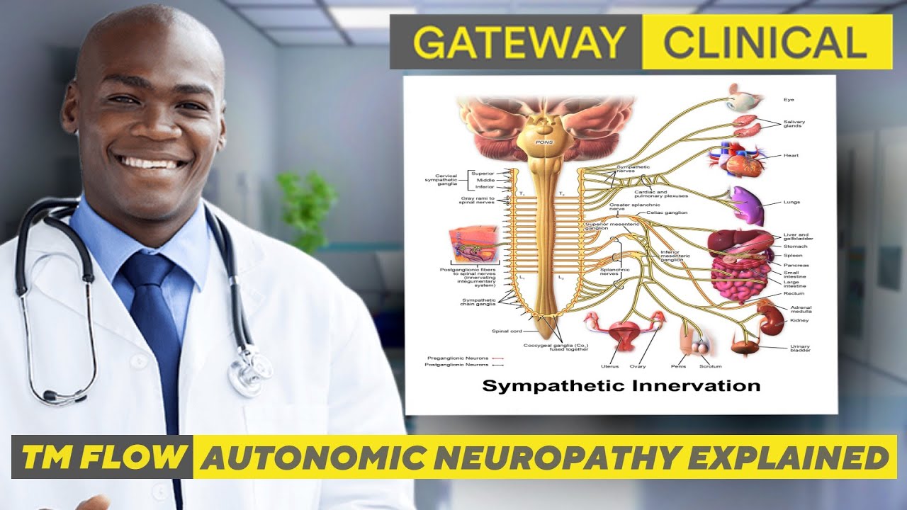 Autonomic Neuropathy Explained - YouTube