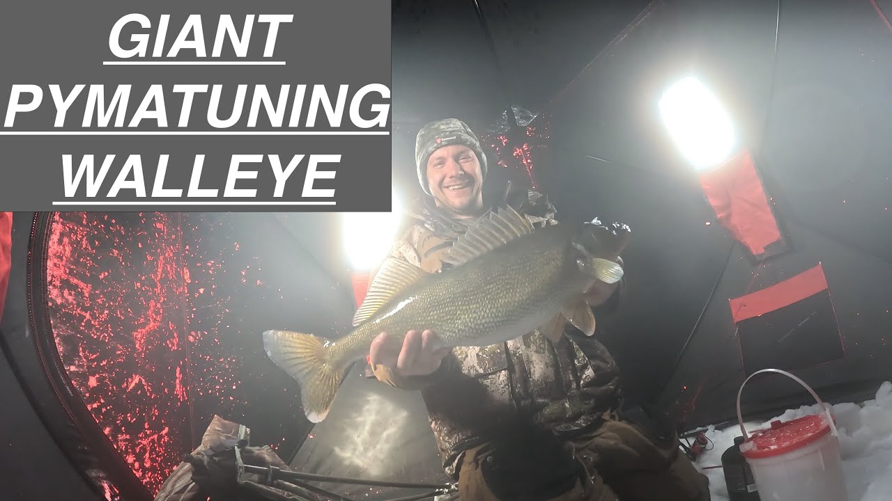 Ice fishing Pymatuning walleye - YouTube