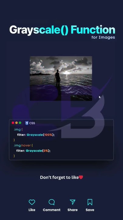 Css Filter Css Mini Project Css Project Css Codelife Coding Html5 Webdesign Youtube 