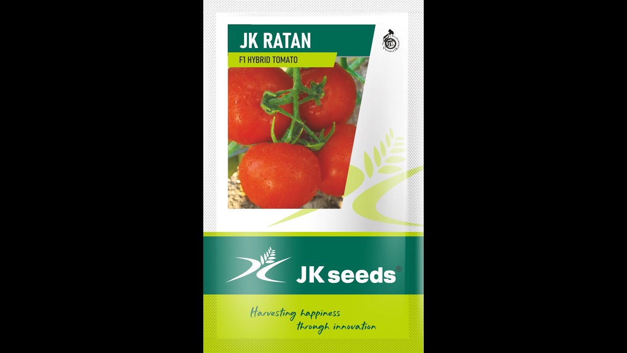 JK Seeds | JK Ratan | Tomato Hybrid - YouTube