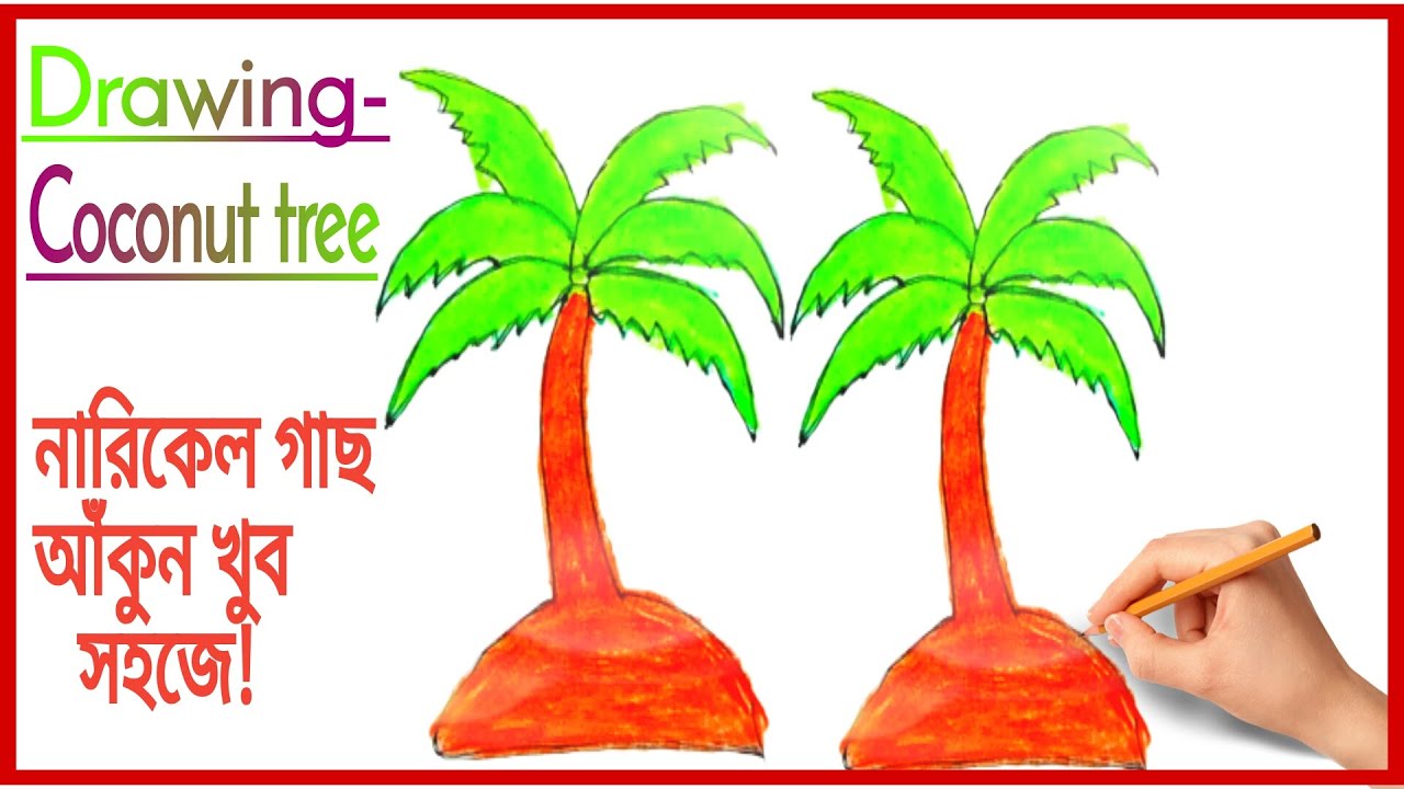 Drawing tree.Drawing coconut tree. নারিকেল গাছ।Coconut tree drawing ...