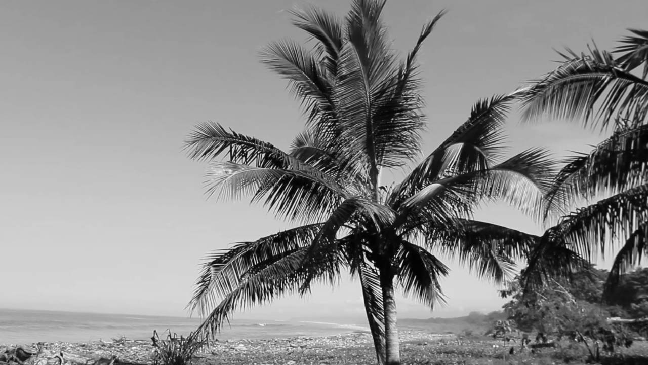 Palmeras en la Nieve - YouTube