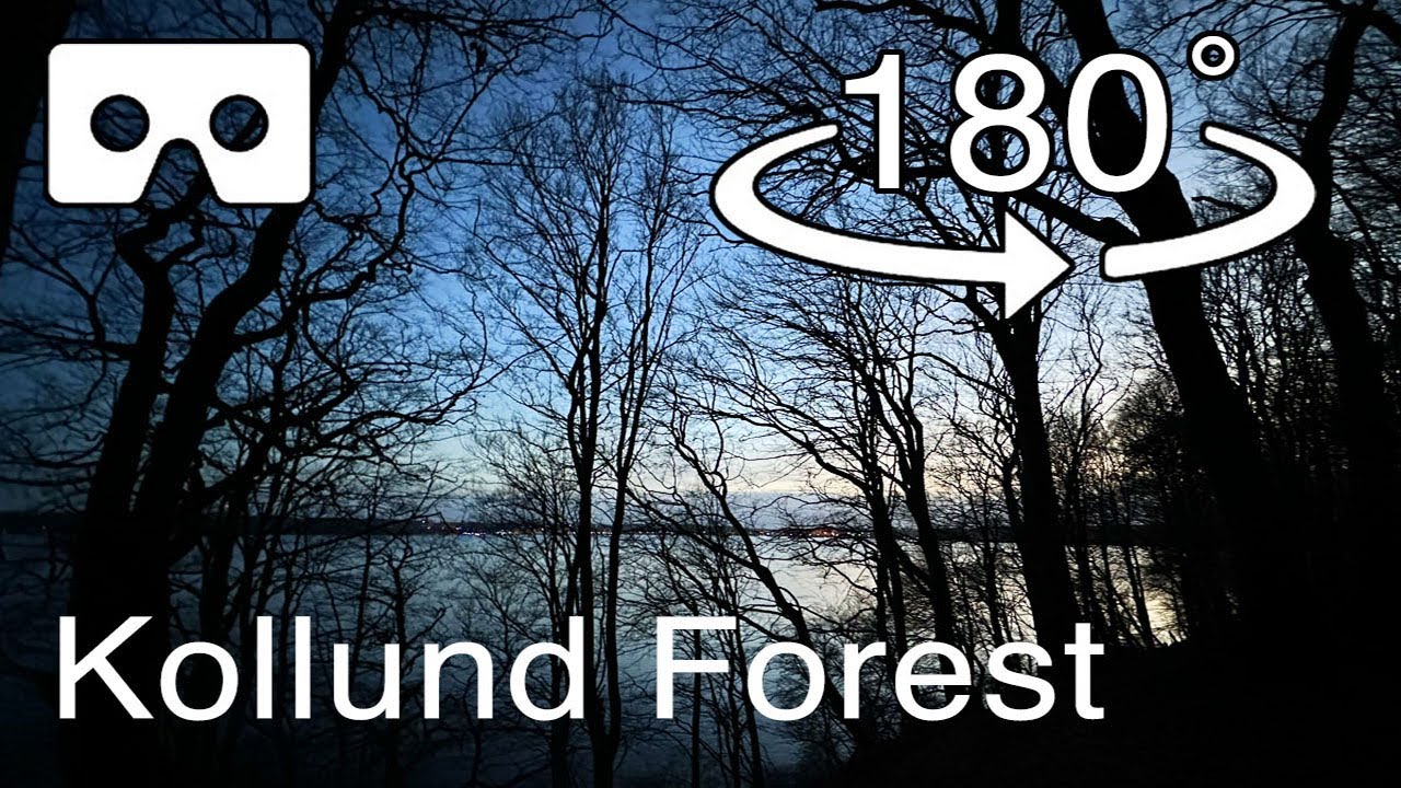 Kollund Strand Forest walk 8K - YouTube