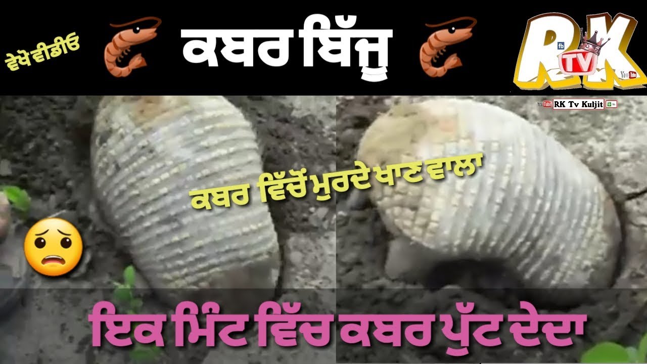 Kabar bijju || ਕਬਰ ਬਿੱਜੂ || कब्र बिजू || by RK TV Kuljit - YouTube