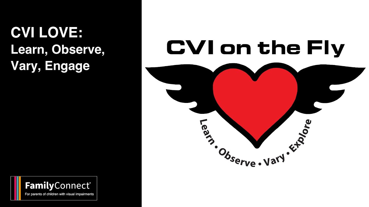 Supporting Literacy with LOVE: A Unique Approach for Children with CVI ...