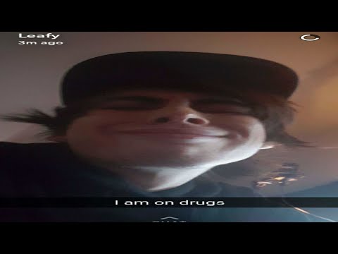 what really happened to leafy - YouTube