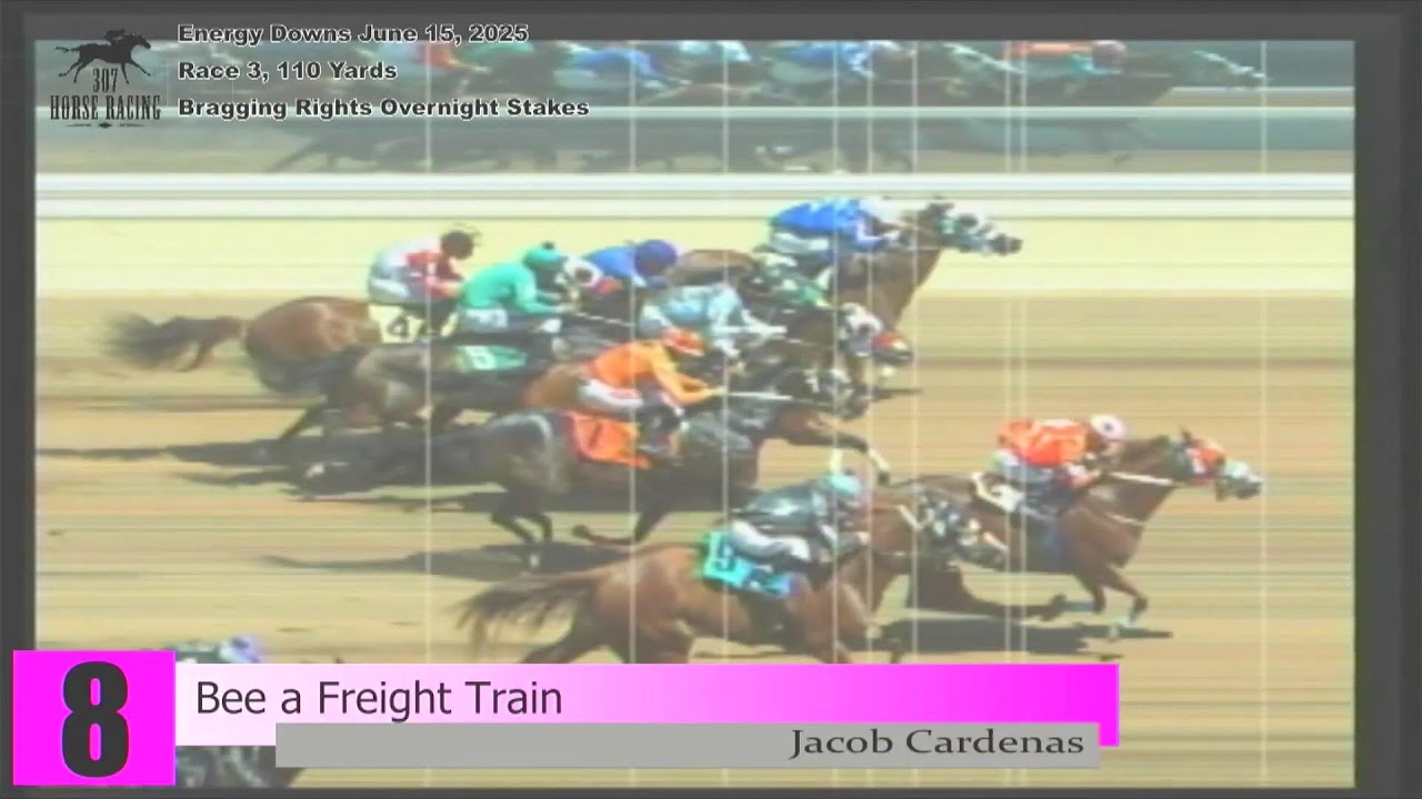 307 Horse Racing, Energy Downs, June 15 2025, Race 3 (110 Yards) - YouTube