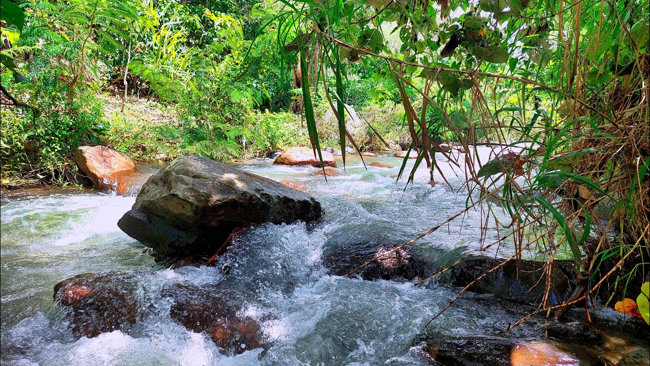Close-up Water Stream Sounds Of A Rushing River To Calm Yourself And ...