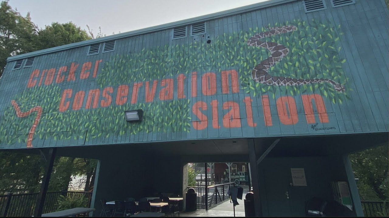 Sponsored content: Dickerson Park Zoo's Crocker Conservation Station ...