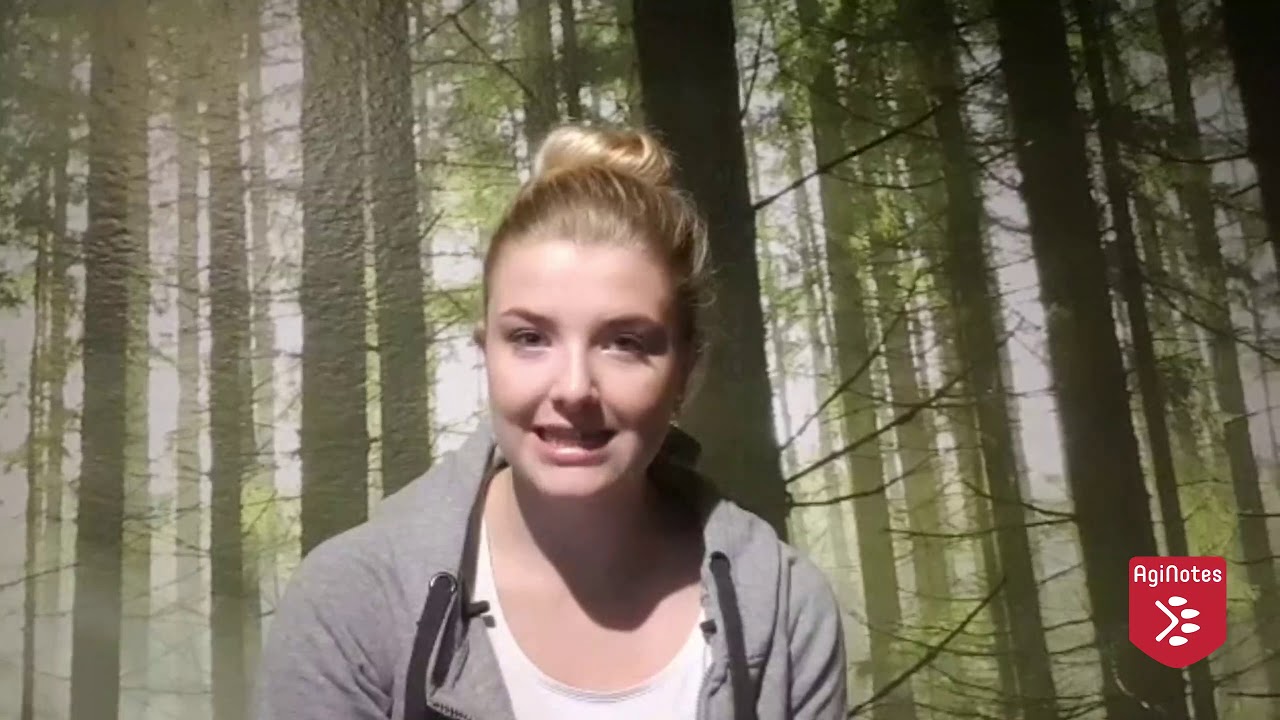 Lisa Bächler: experiences about AgiNotes - YouTube