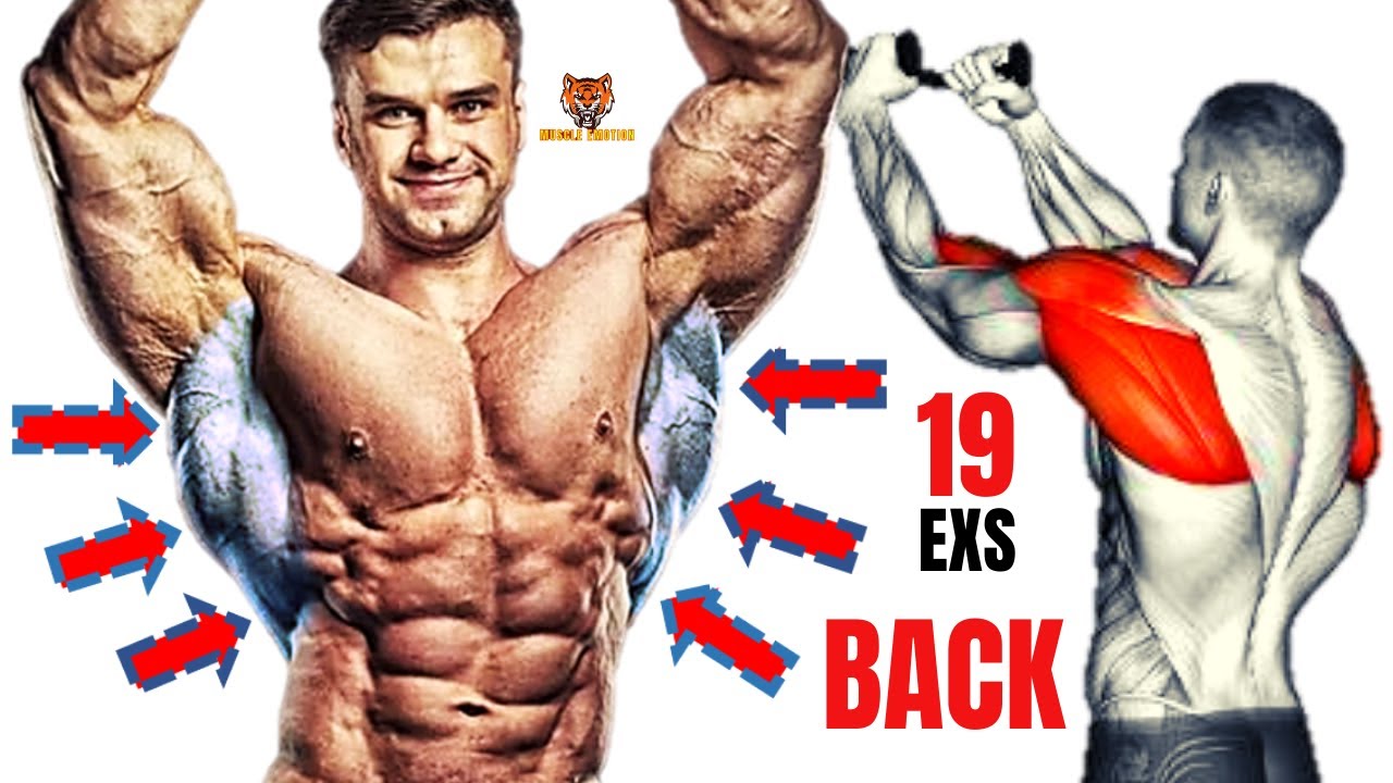 19 BEST BACK EXERCISES TO GET BIGGER BACK FAST / MUSCULATION DOS ...