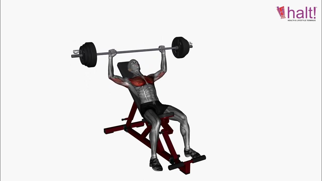 Chest Workout Exercise 04 Barbell Bench Press Incline Halt Nutrition Youtube
