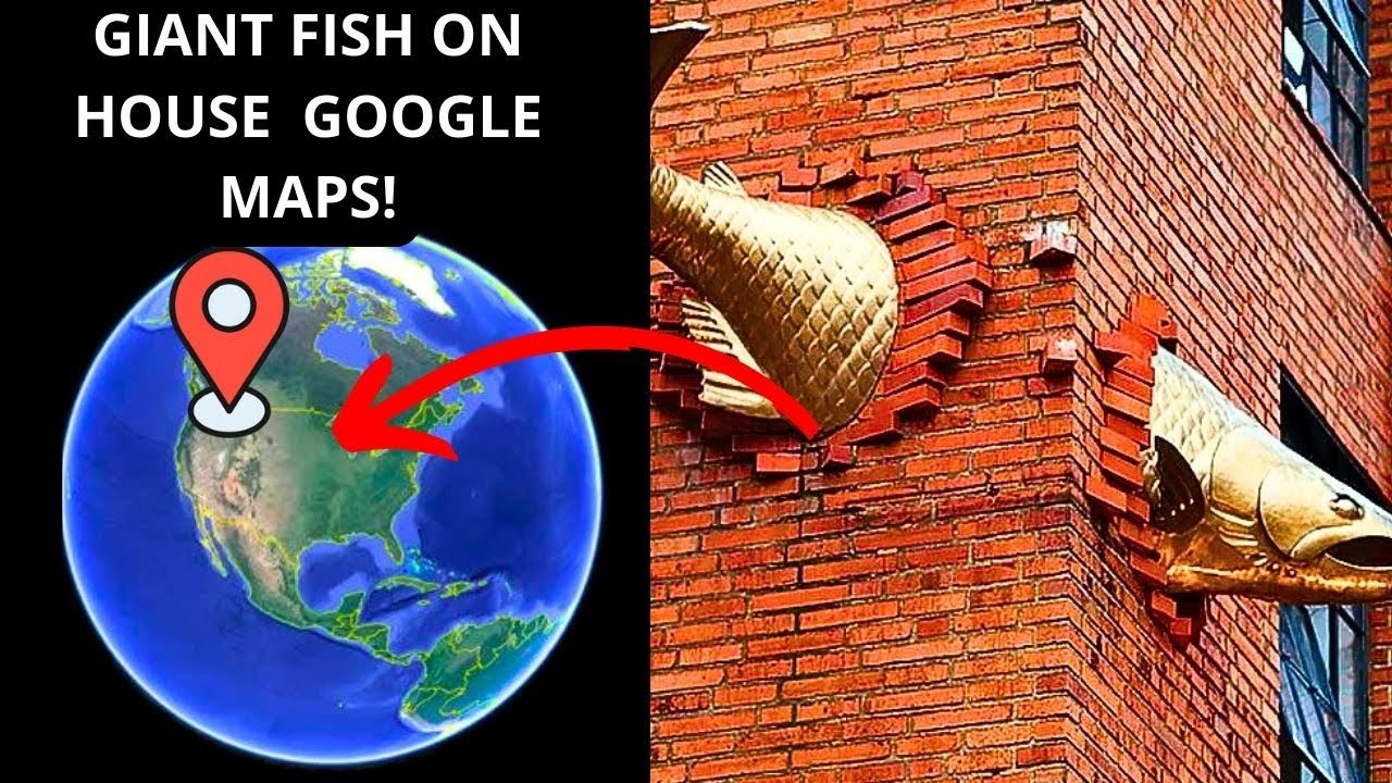 I FOUND GIANT FISH ON HOUSE GOOGLE EARTH - YouTube