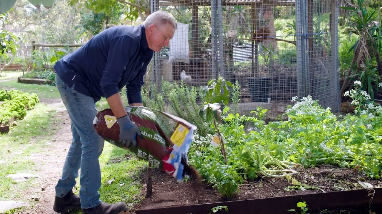 The Garden Gurus - Mulch Your Way to a Thriving Garden - YouTube