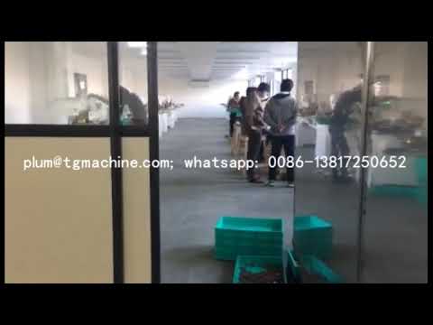 chocolate Coin machine line - YouTube