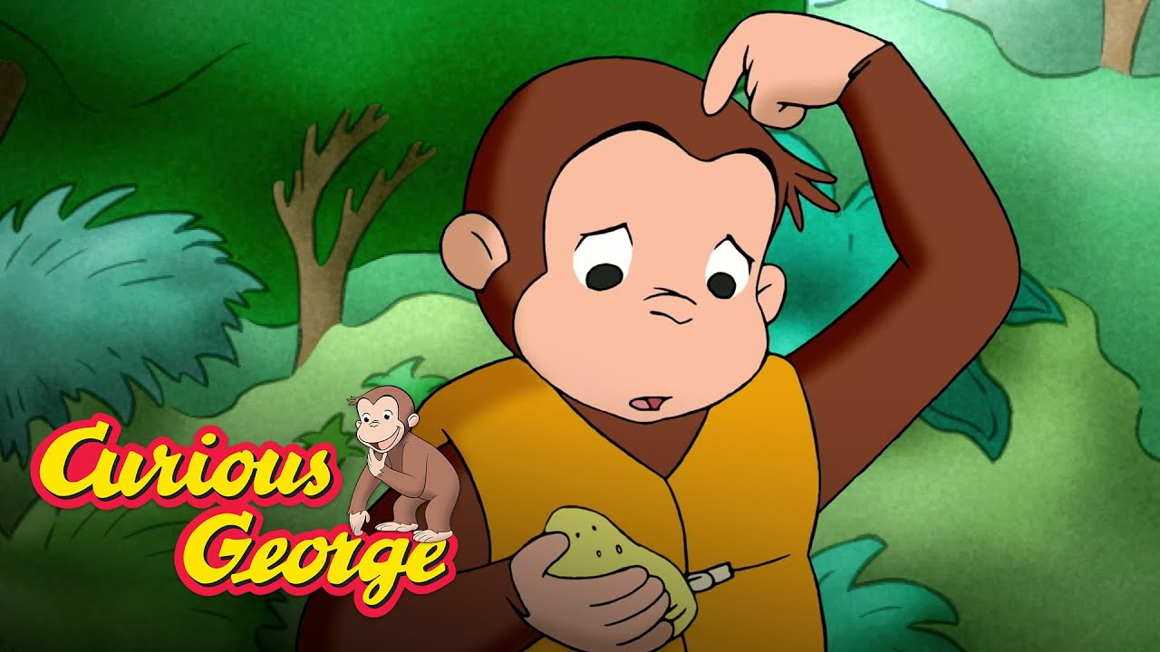 Shipwrecked 🐵 Curious George 🐵Kids Cartoon 🐵 Kids Movies 🐵Videos for ...
