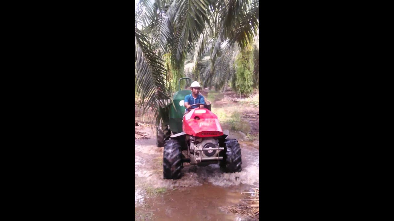 mechanical buffalo errippi - YouTube