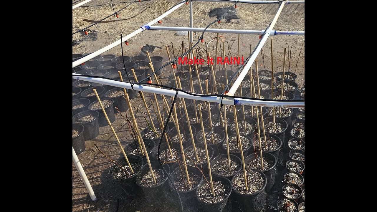 overhead misting system for watering your plants! - YouTube