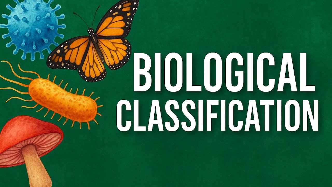 Biological Classification | Class 11th Biology Animated Video ...