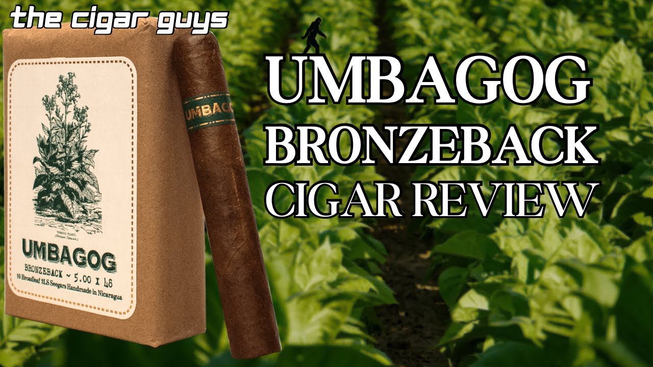 Umbagog Bronzeback Cigar Review (Dunbarton Tobacco & Trust) - YouTube