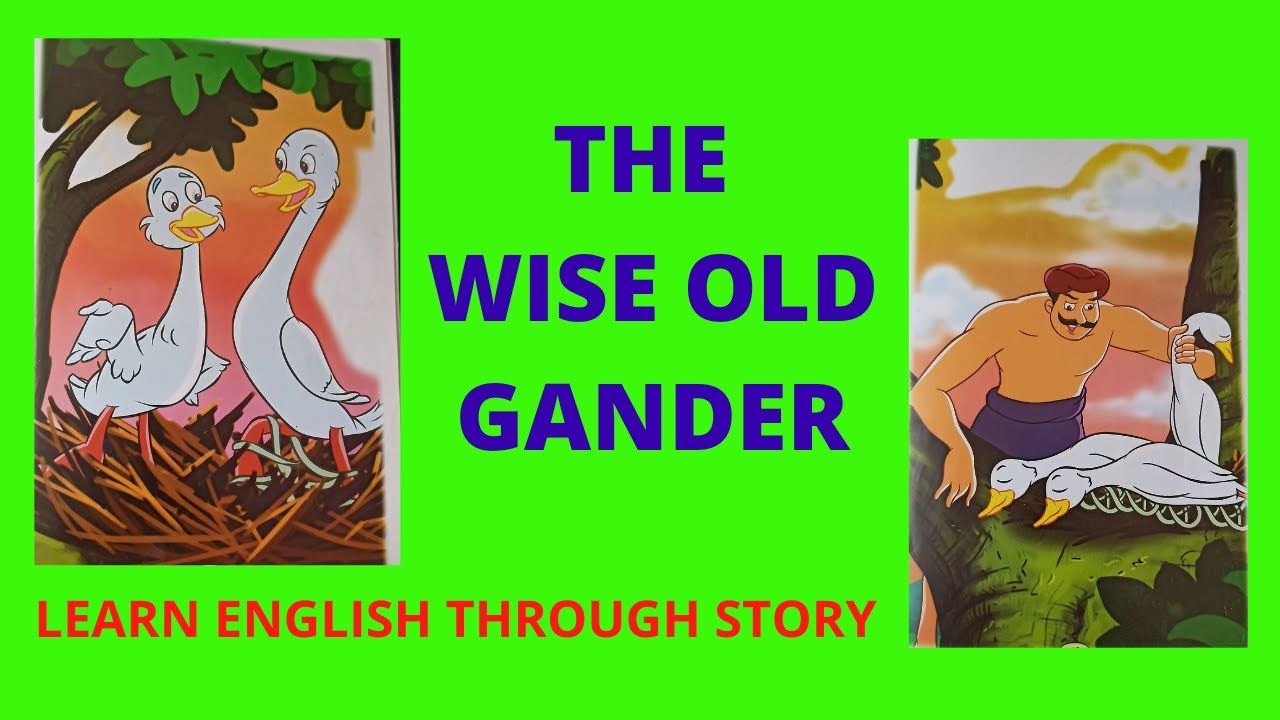 Learn English through Story, The Wise Old Gander, Easy English ...