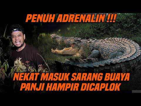NEKAT MASUK AREA PALING BAHAYA DI KALIMANTAN TIMUR! PANJI MASUK SARANG BUAYA