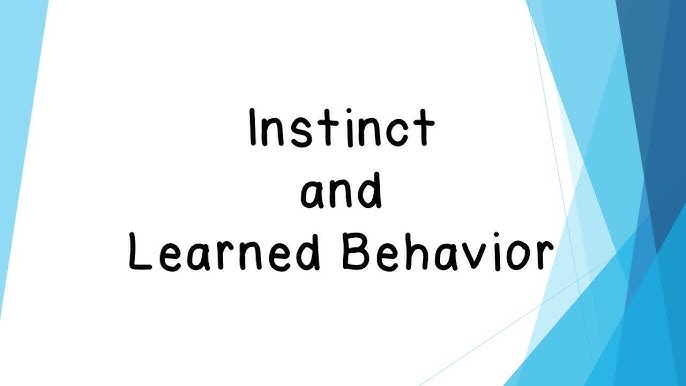 Instinct Vs Learned Behavior Lesson