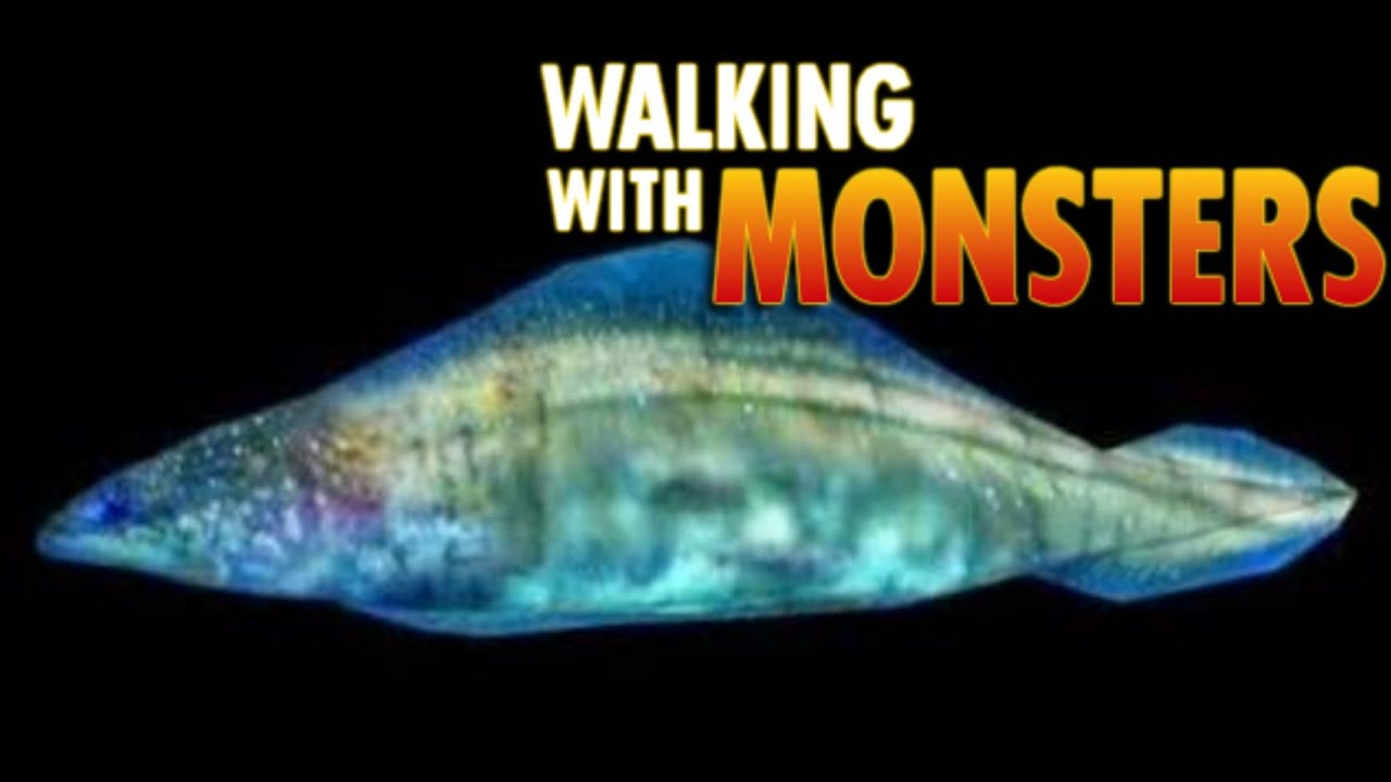 Walking With Monsters [2005] - Haikouichthys Screen Time - YouTube