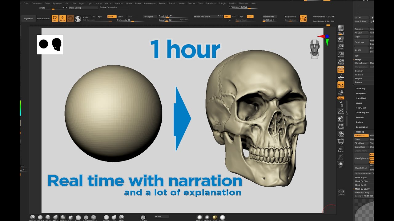 Skull anatomy for artists - YouTube