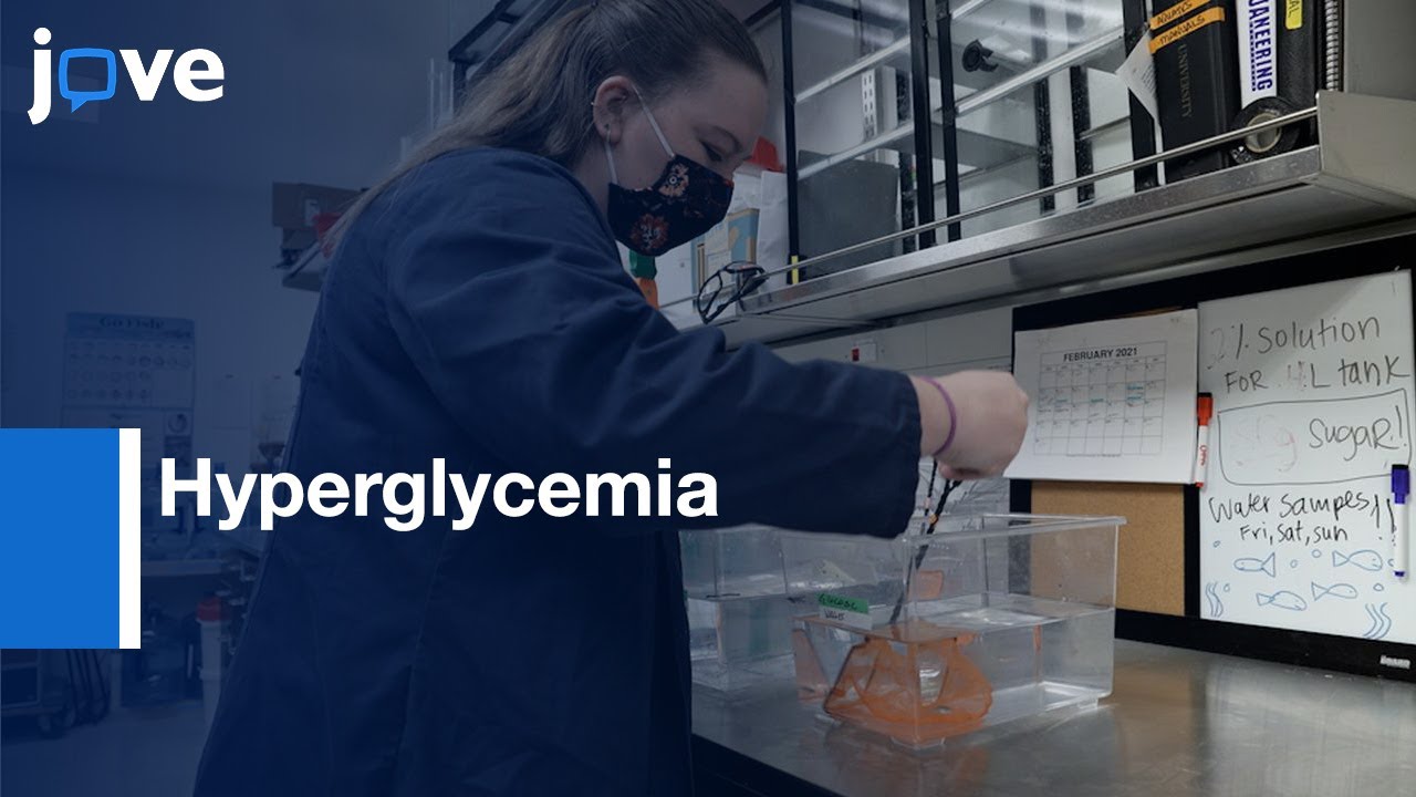 Immersion in Glucose to produce Prolonged Hyperglycemia | Protocol ...