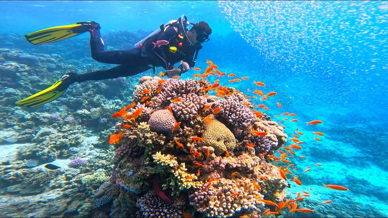 Most Beautiful Cave Diving Experience I Egypt - YouTube