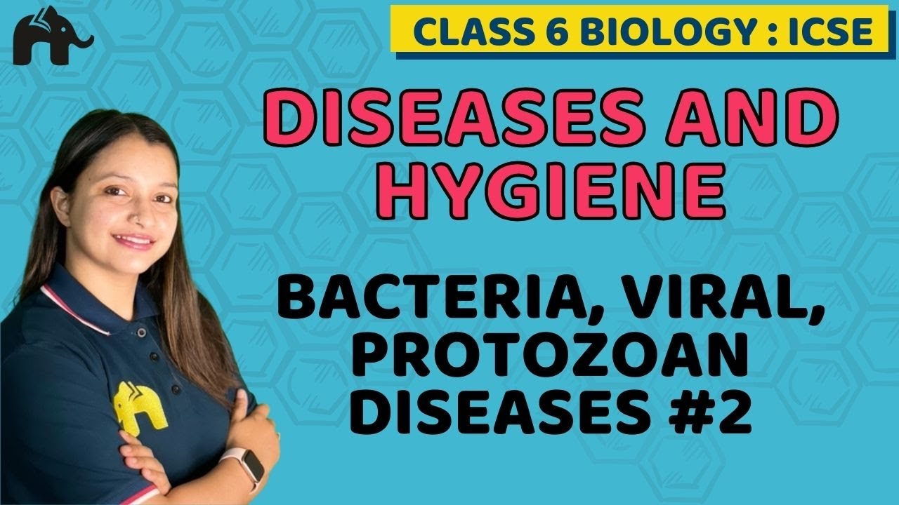 Diseases and Hygiene Class 6 ICSE Biology | Selina Chapter 7 Bacteria ...