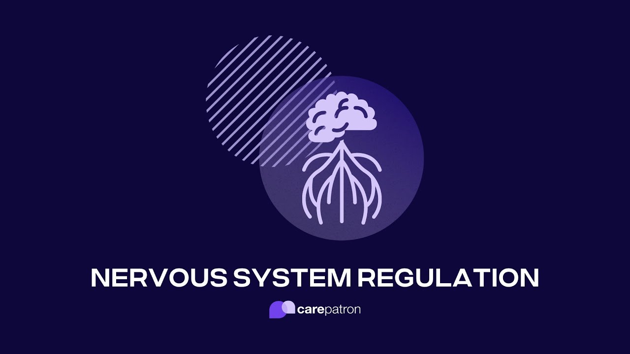 Nervous System Regulation - YouTube