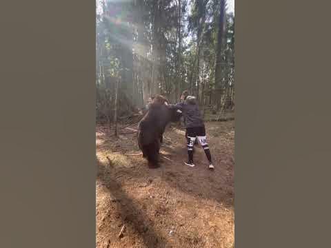 Медвежонок - YouTube