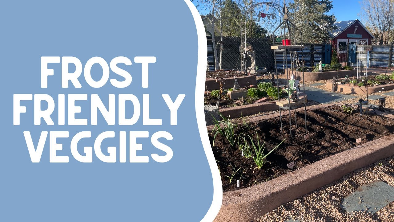 Frost Friendly Veggies and Ways to Enhance Your Gardening Game - YouTube