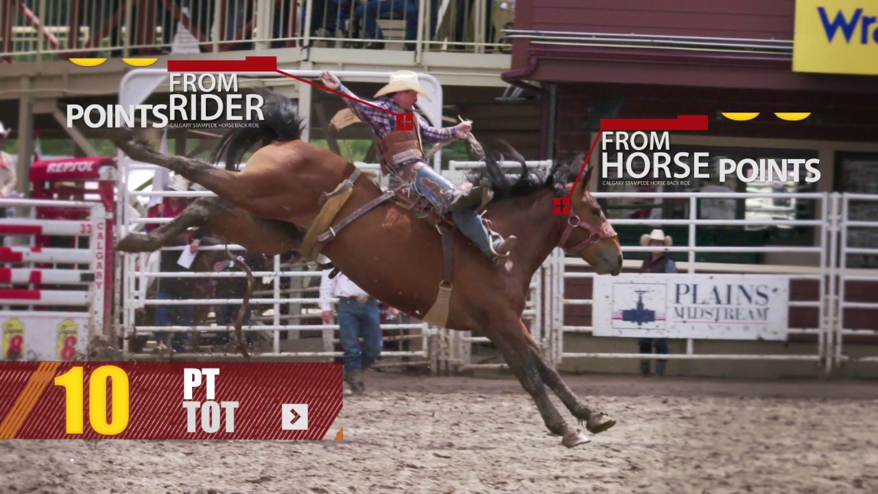 Rodeo 101: Saddle Bronc - YouTube