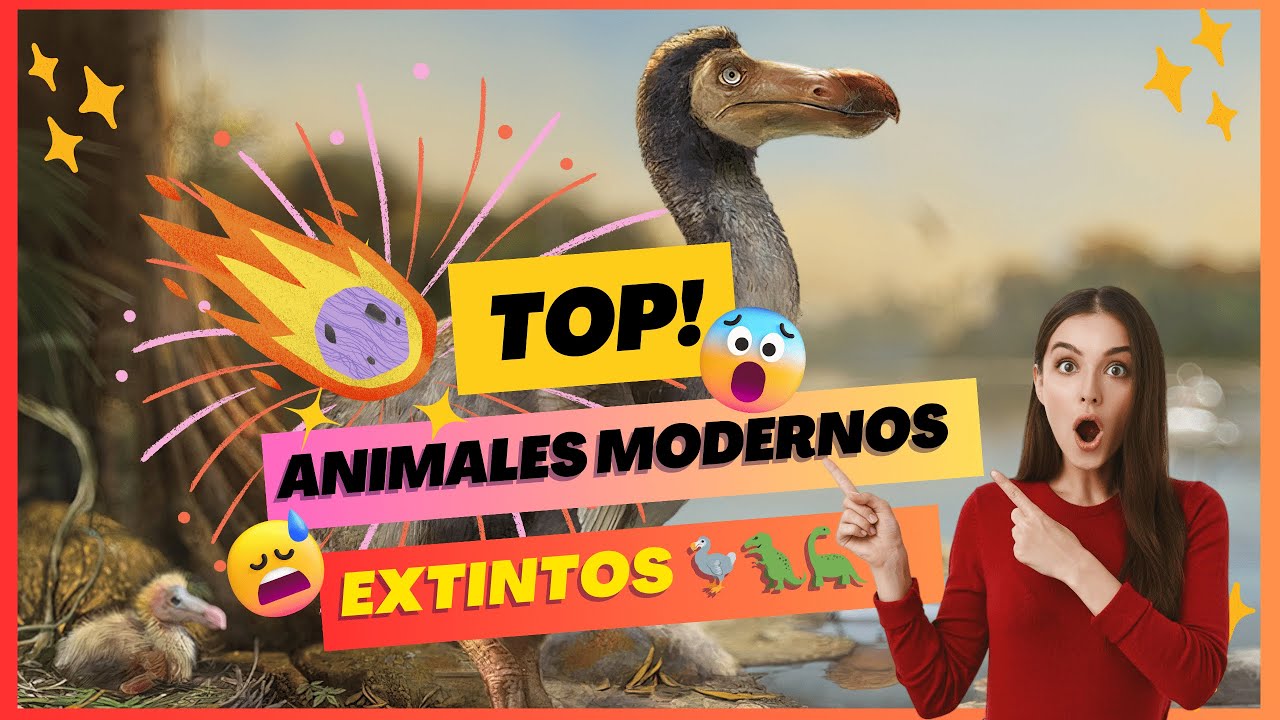 Top Animales Modernos Extintos! | El canto de la extinción - YouTube