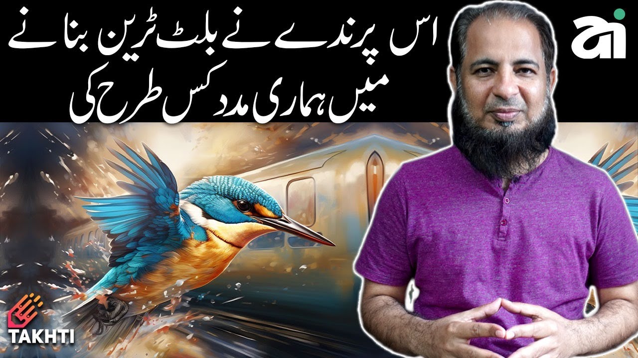 Kingfisher Helped us to Design Fast Trains | Biomimicry | اردو | हिन्दी ...