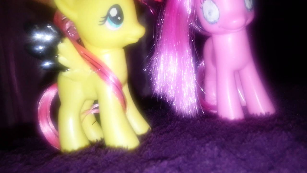 The members of the perfect ponies - YouTube